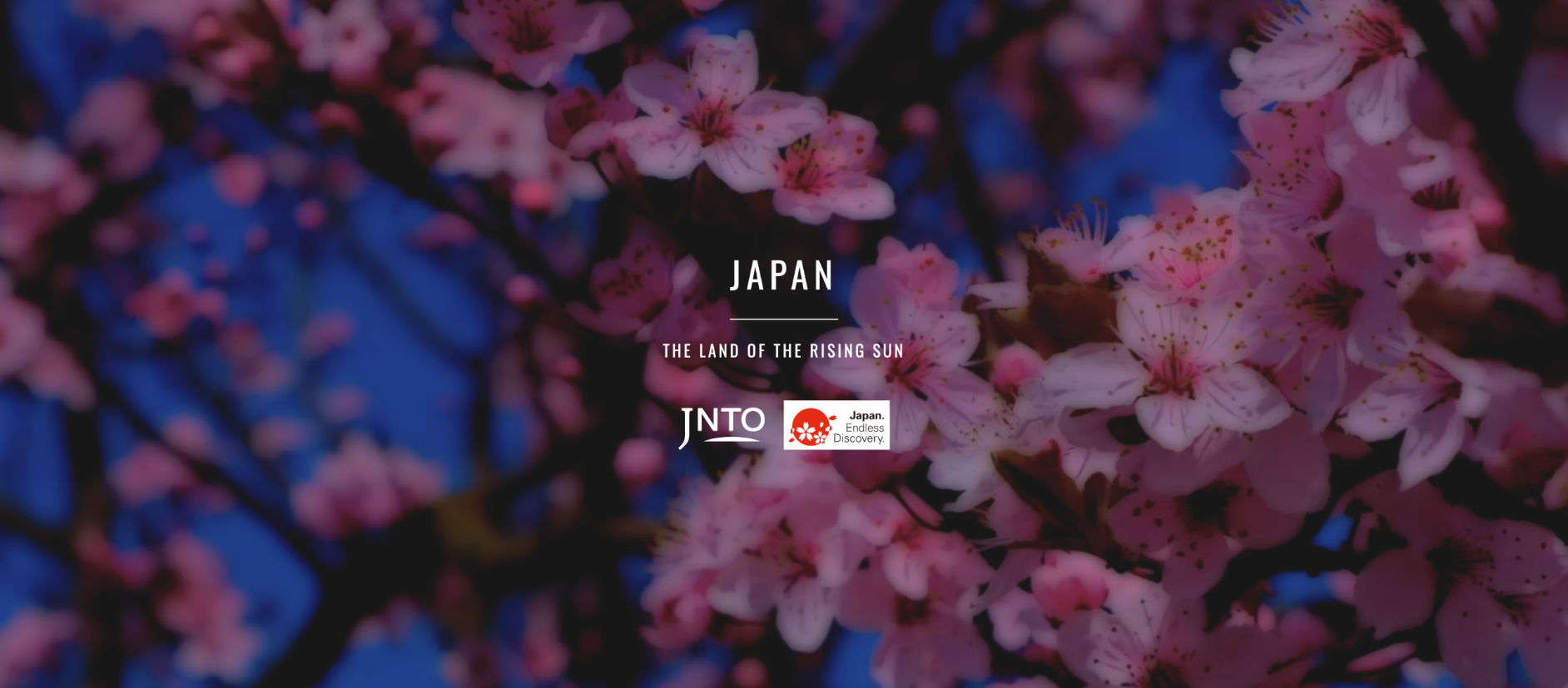 JNTO Japan Microsite | Avanti Destinations
